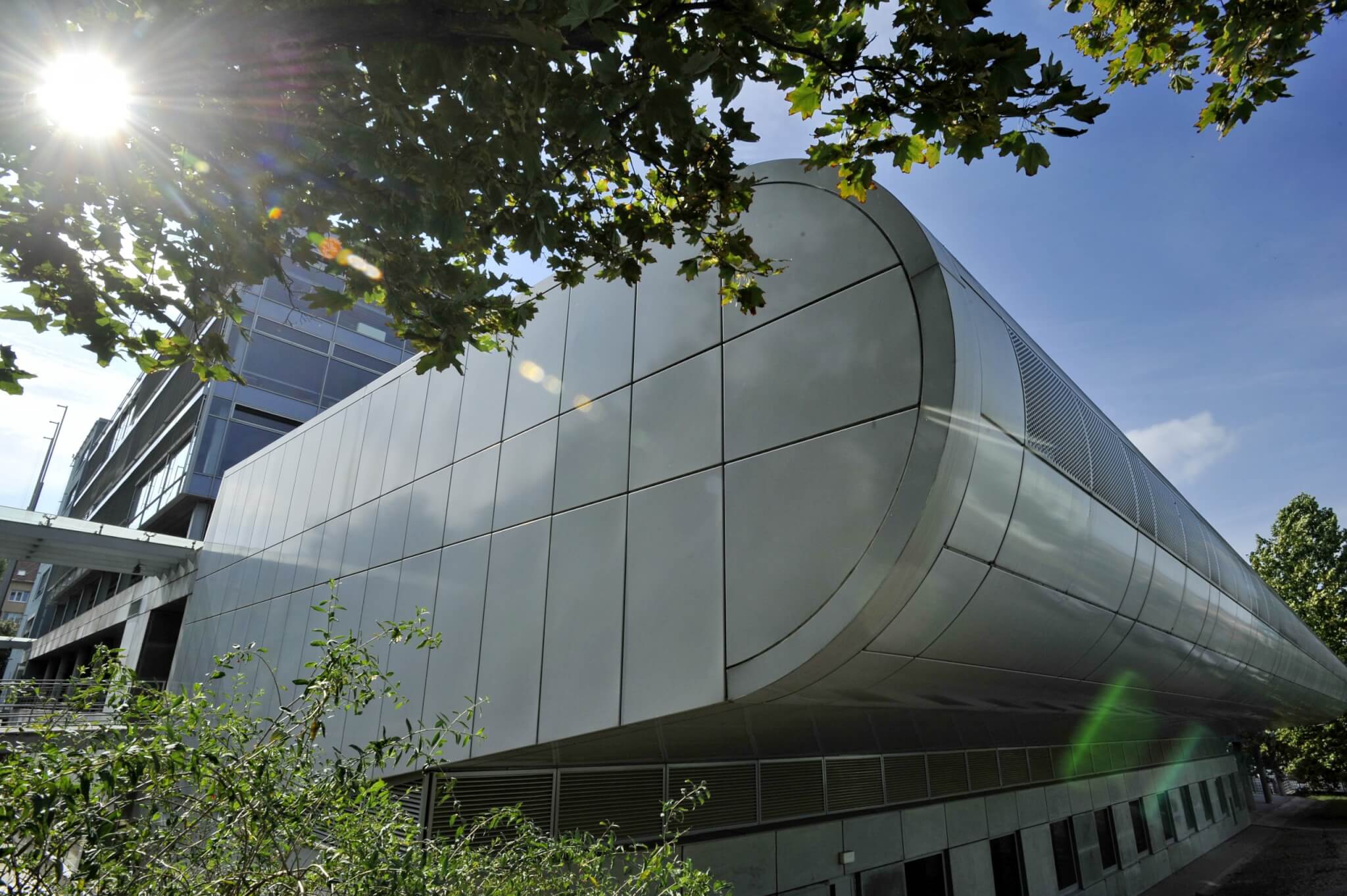 PEF MENDELU má 64 let! Jaká je její historie a kam kráčí?